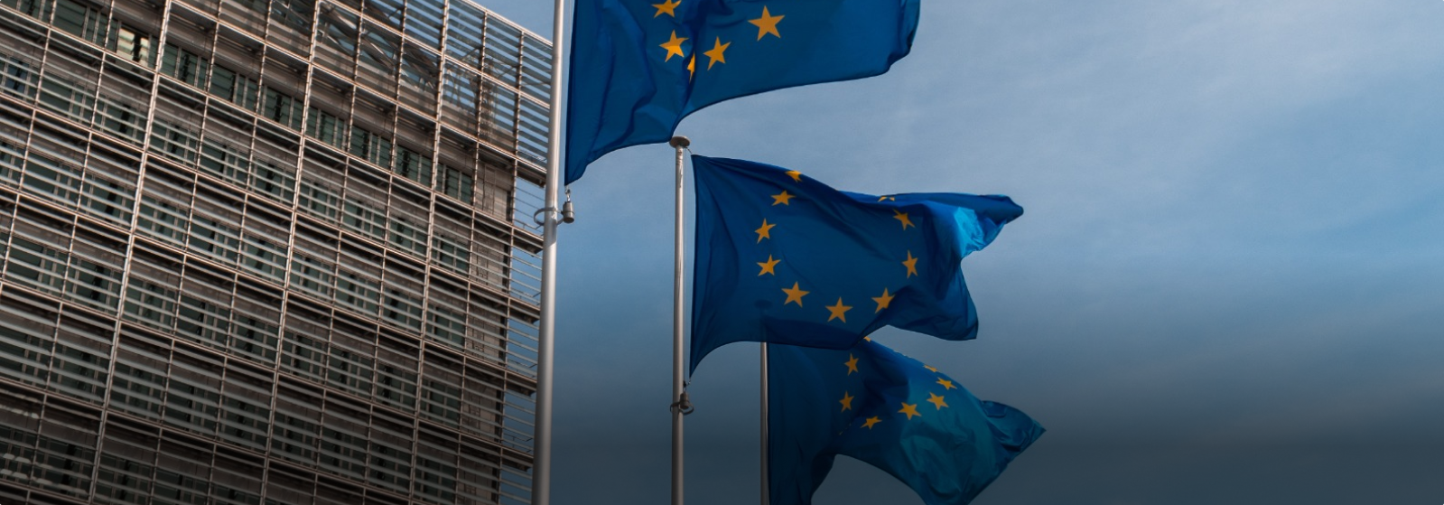 What we do - EDFI MC